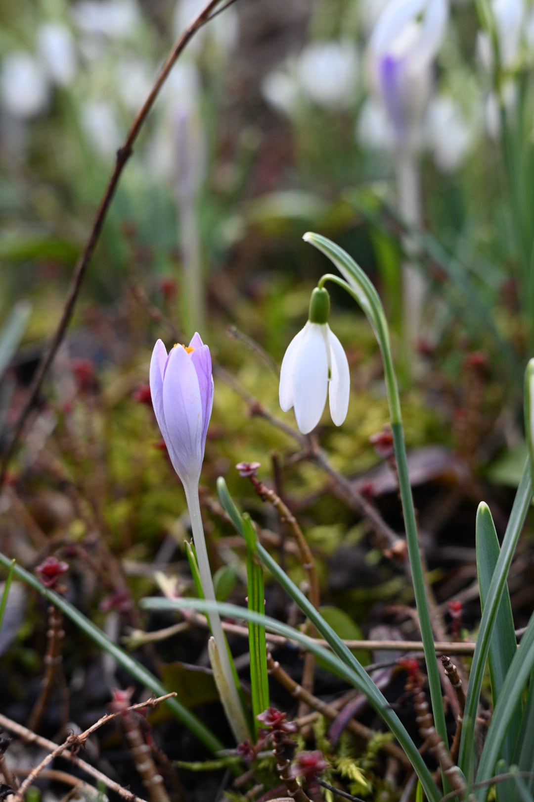 February firsts – Hannah Nunn