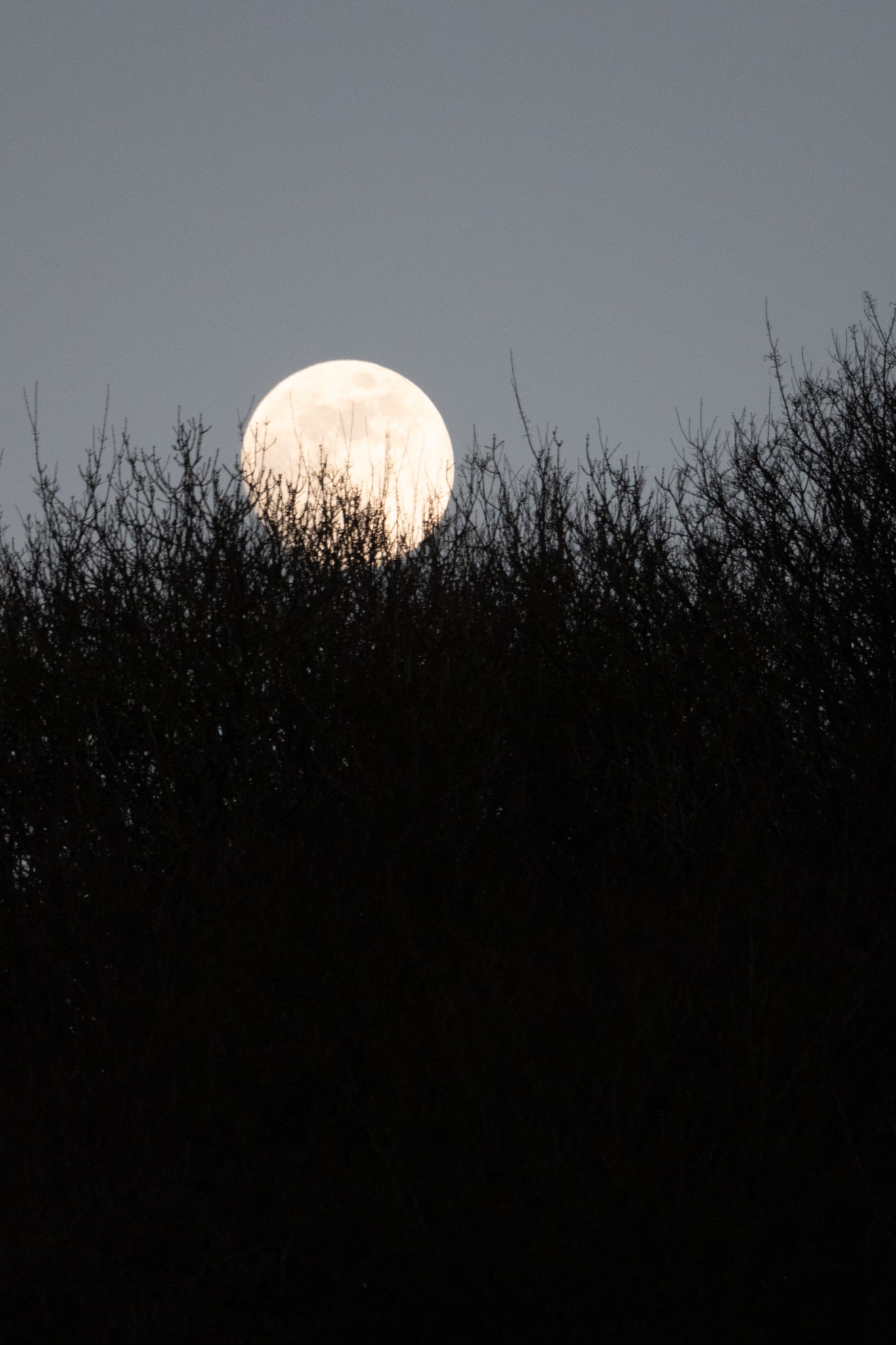 A love letter to the Moon – Hannah Nunn