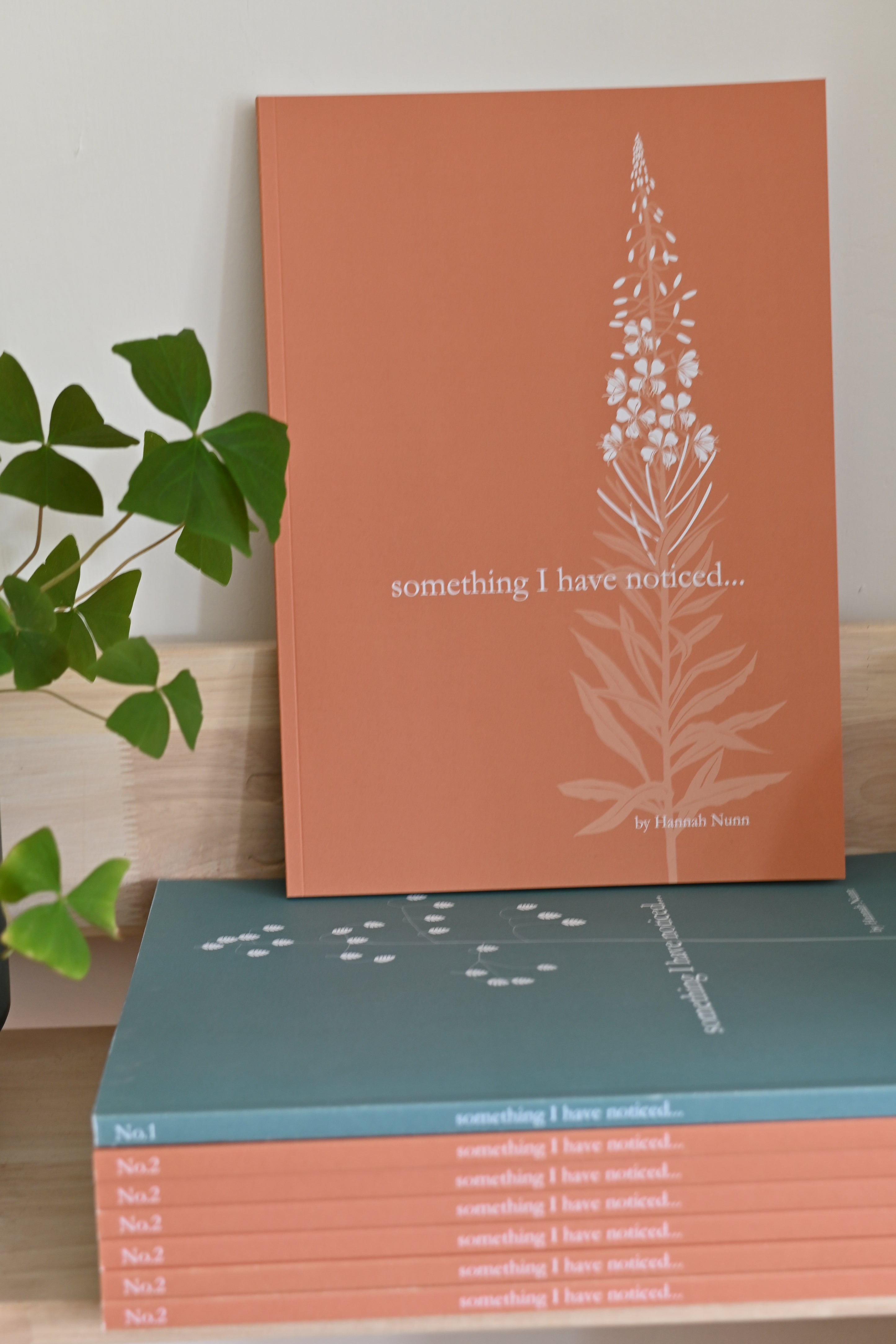 Something I have noticed No.2 – Hannah Nunn