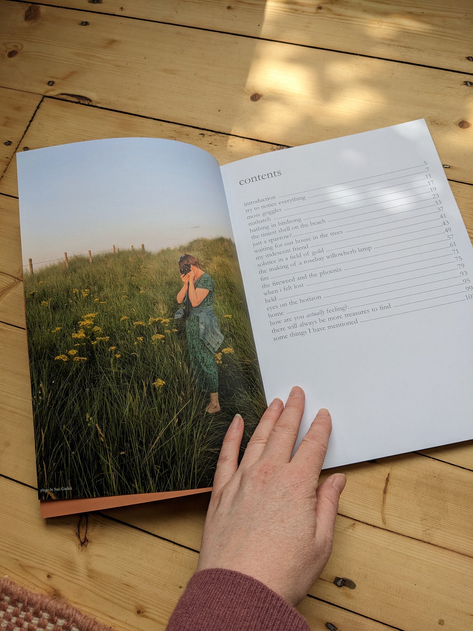 Something I have noticed No.2 – Hannah Nunn