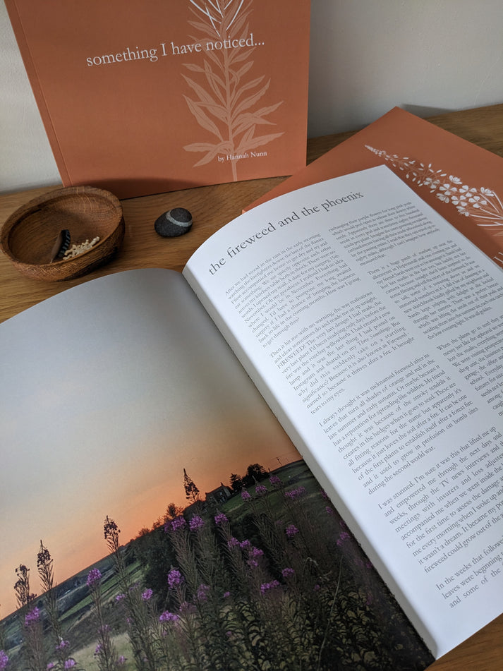 Something I have noticed No.2 – Hannah Nunn