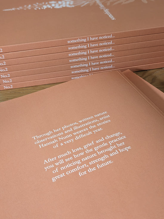 Something I have noticed No.2 – Hannah Nunn