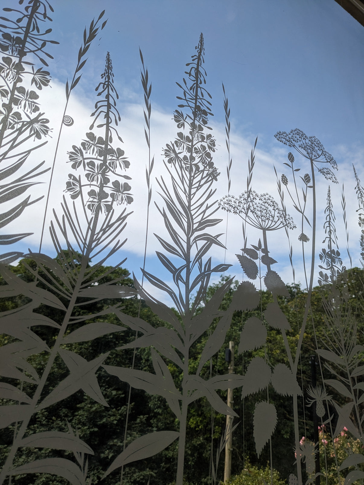 Wild Edge window film – Hannah Nunn