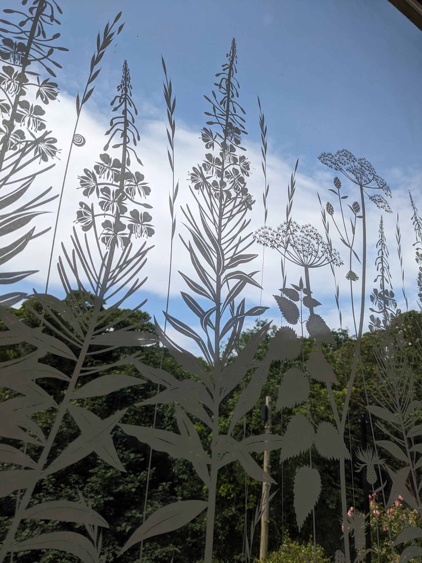 Wild Edge window film – Hannah Nunn