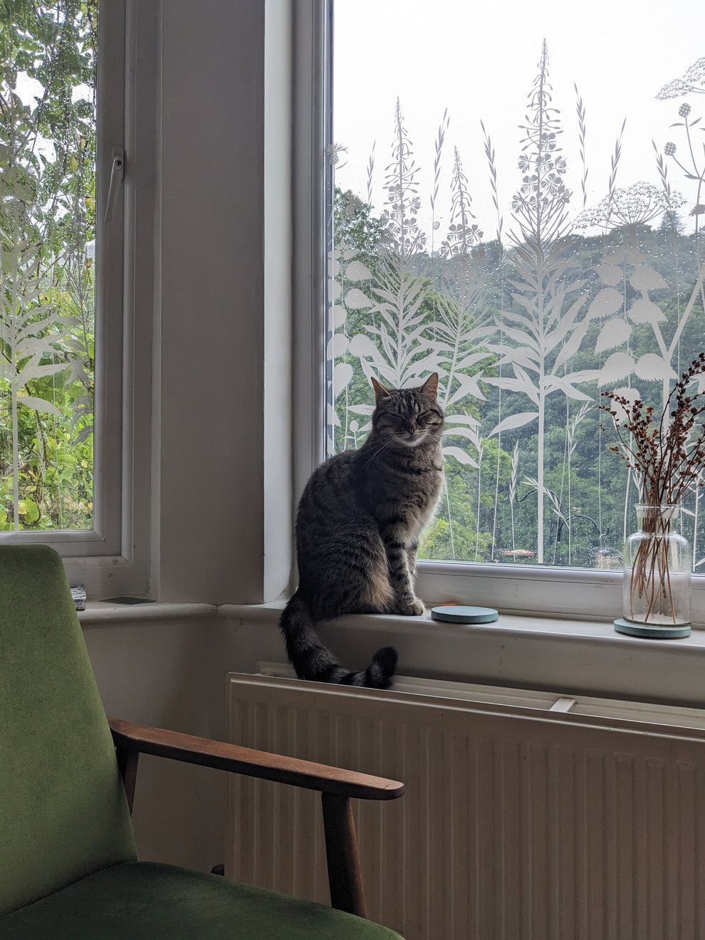 Wild Edge window film – Hannah Nunn