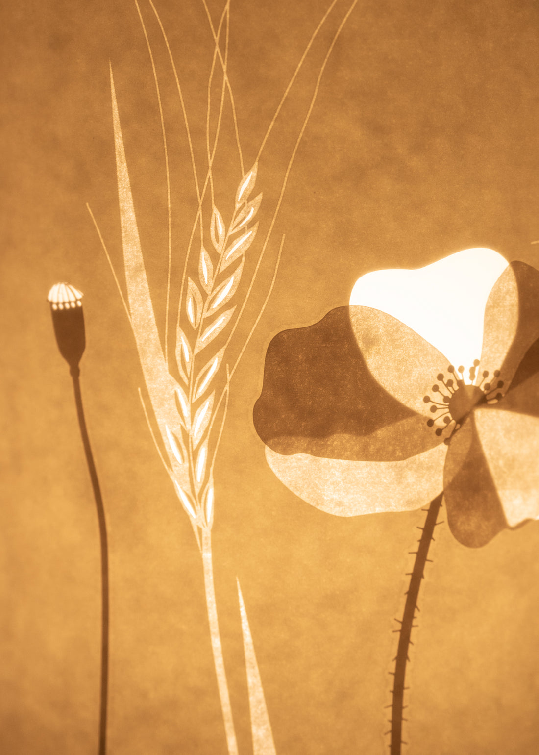 Large Field Poppy Table Lamp – Hannah Nunn