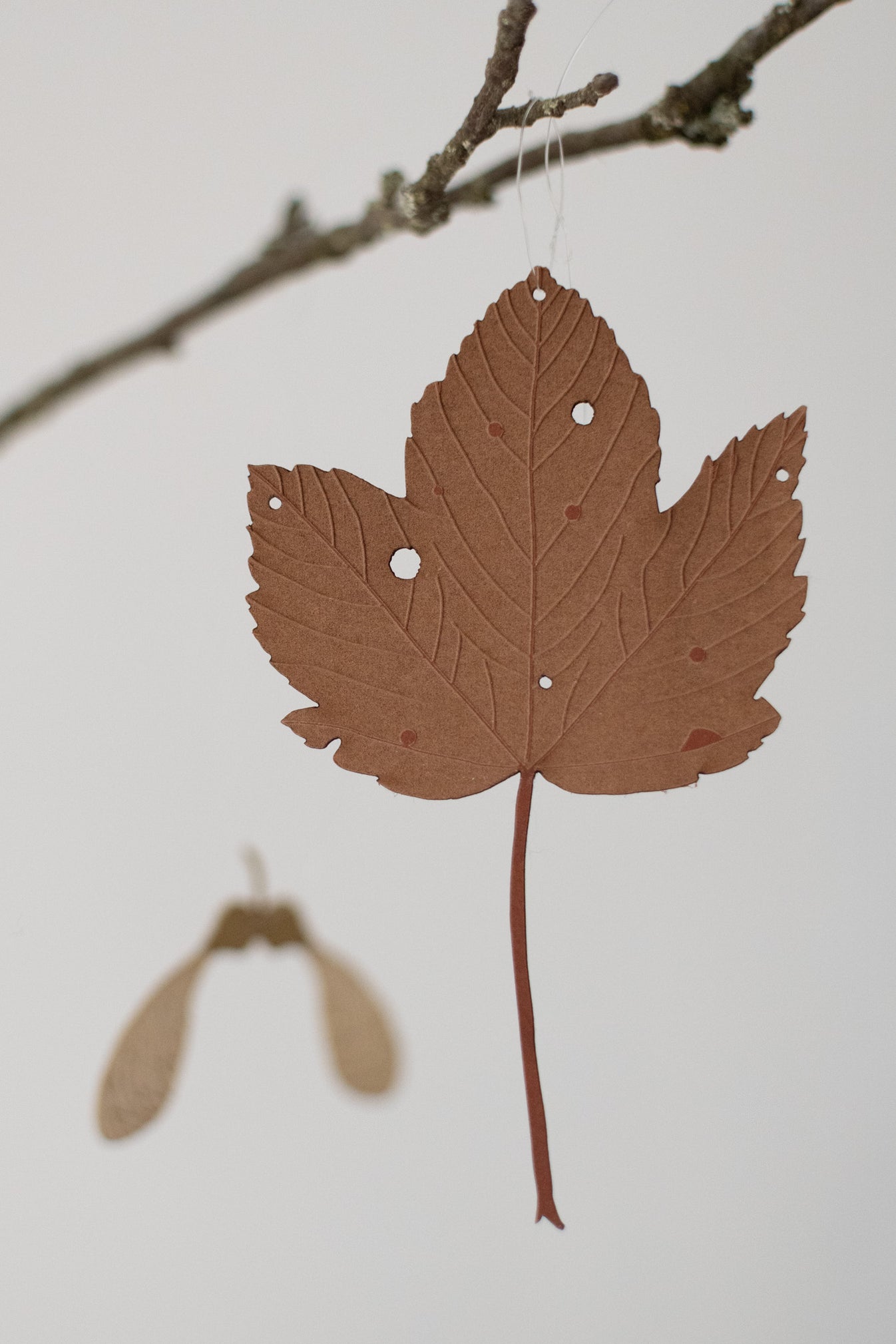 A single sycamore leaf – Hannah Nunn