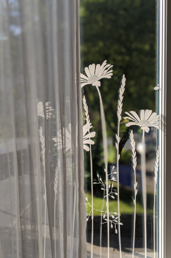 Tall Daisies Window Film – Hannah Nunn