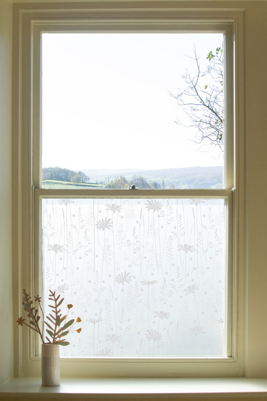 window film with meadow and nature designs by designer Hannah Nunn