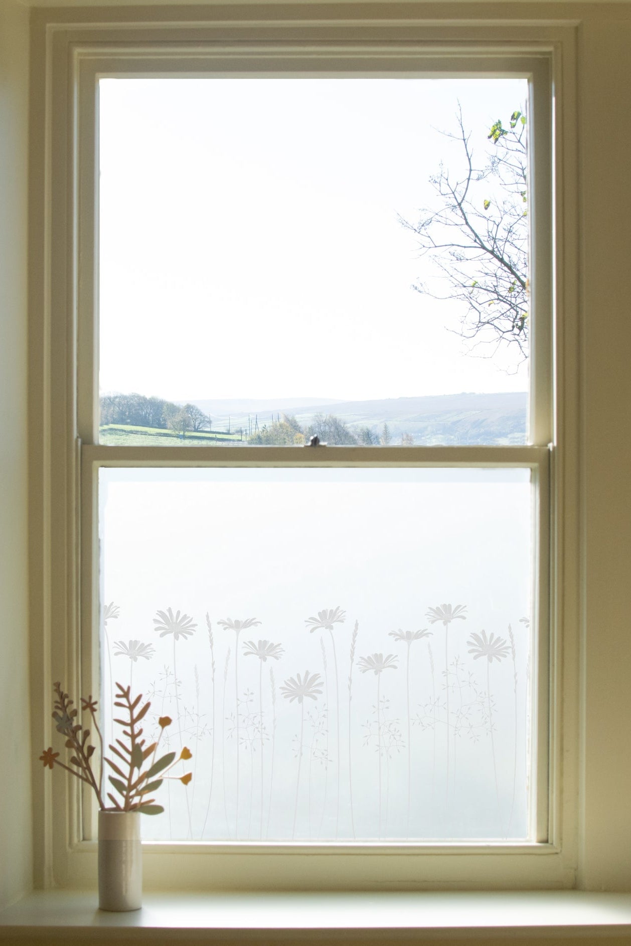 window film with meadow and nature designs by designer Hannah Nunn