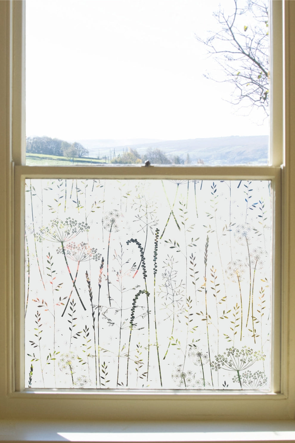 Paper Meadow Window Film – Hannah Nunn
