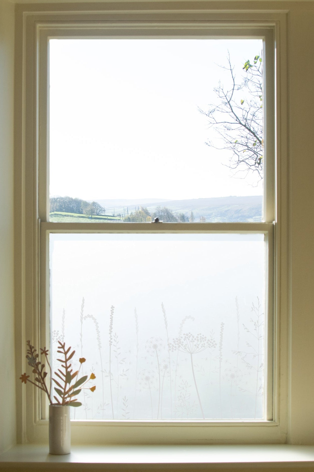 window film with meadow and nature designs by designer Hannah Nunn