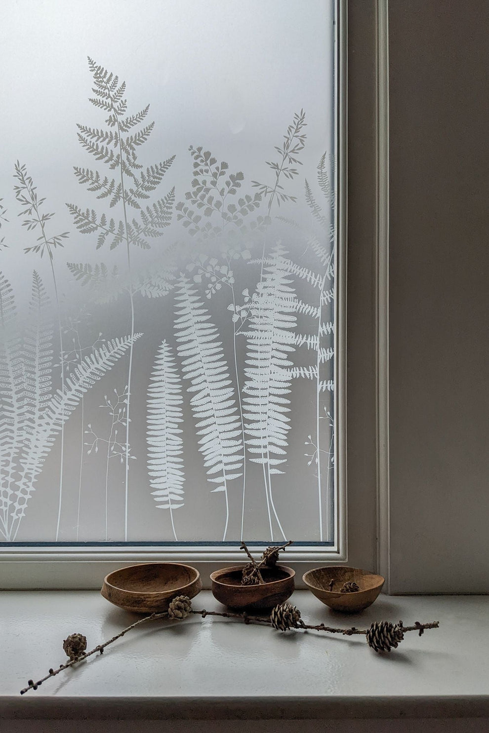 Fern window film – Hannah Nunn