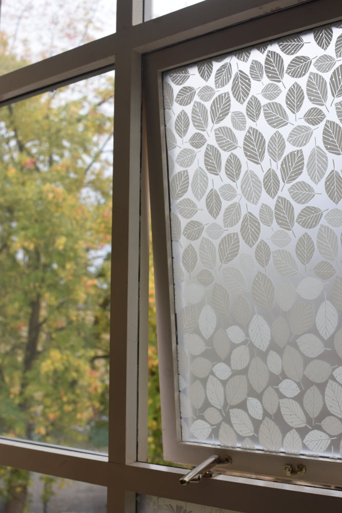 Beech Leaves Window Film – Hannah Nunn