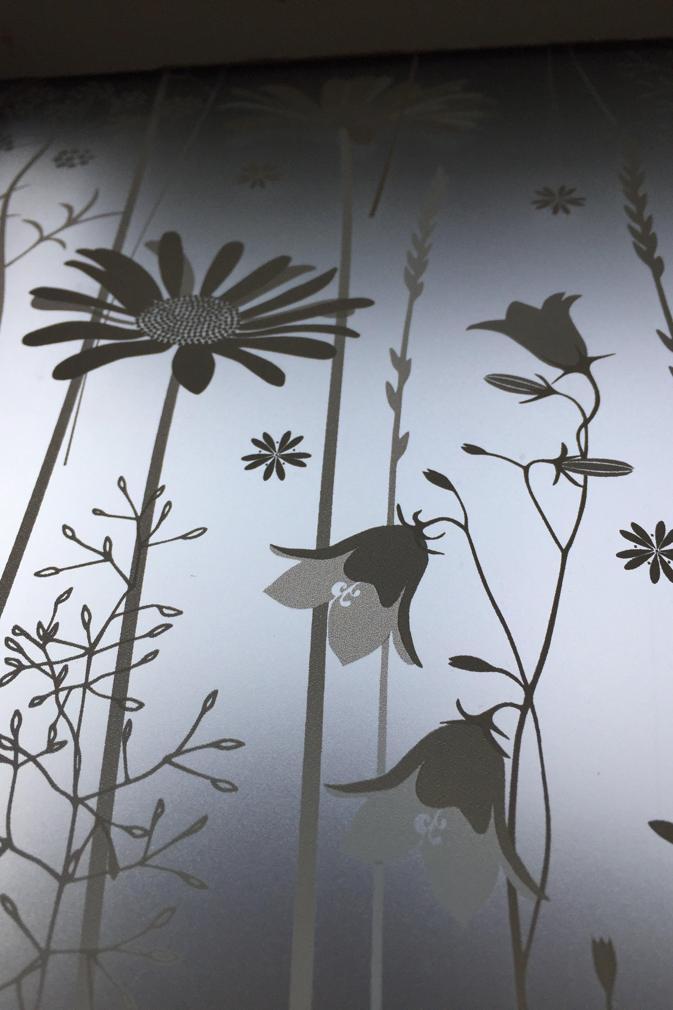 Daisy Meadow Window Film – Hannah Nunn