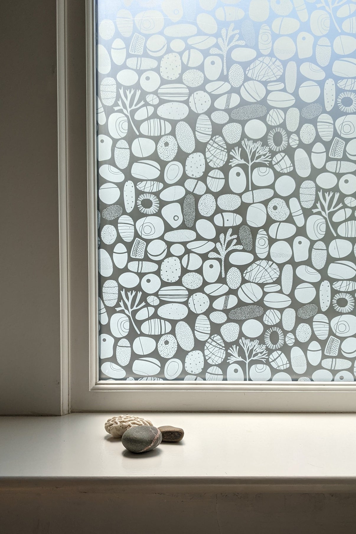 Pebble window film – Hannah Nunn