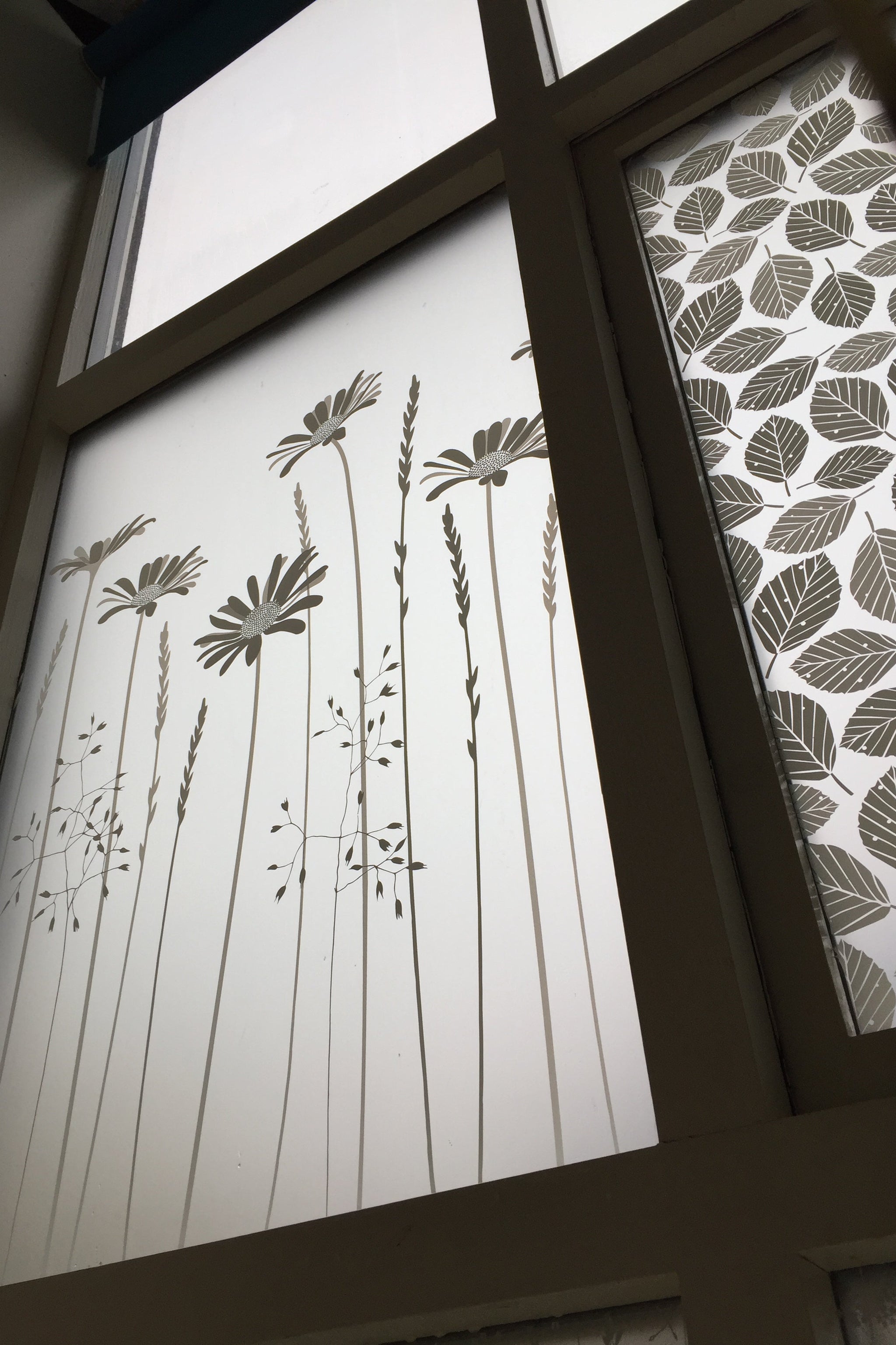 Tall Daisies Window Film – Hannah Nunn